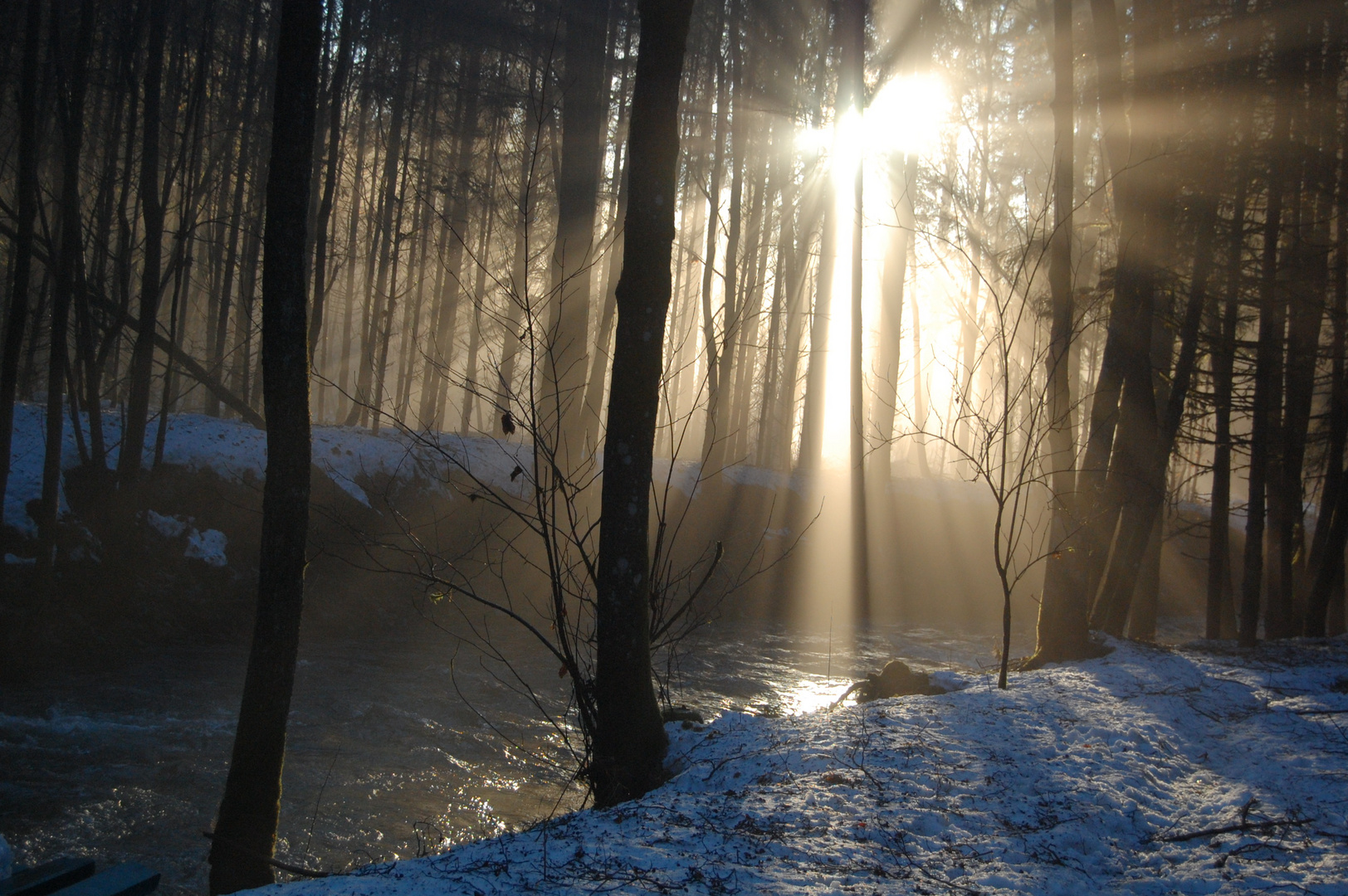 Ermutigung *** Foto & Bild | landschaft, wald, natur Bilder auf ...