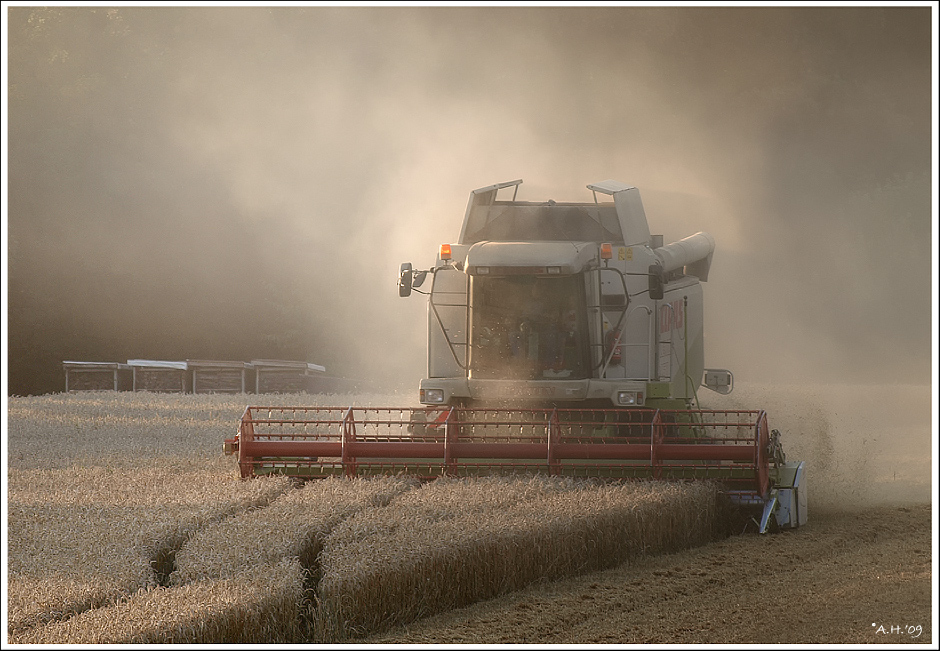 Ernte '09 Foto & Bild | jahreszeiten, sommer, landschaft Bilder auf ...
