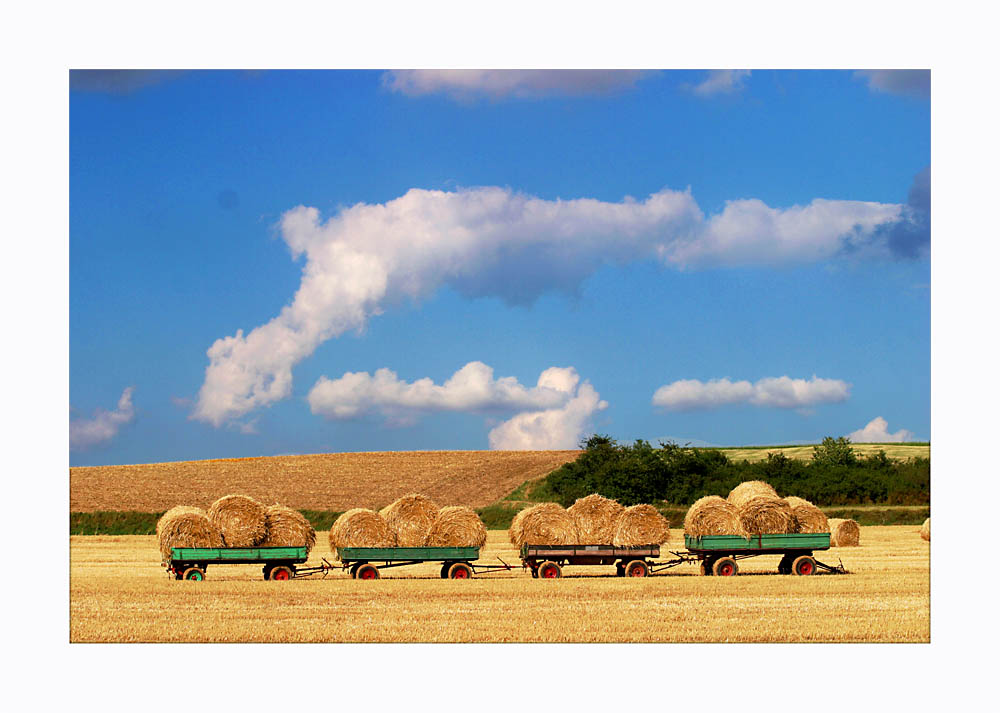 Ernte Foto & Bild | jahreszeiten, sommer, natur Bilder auf fotocommunity