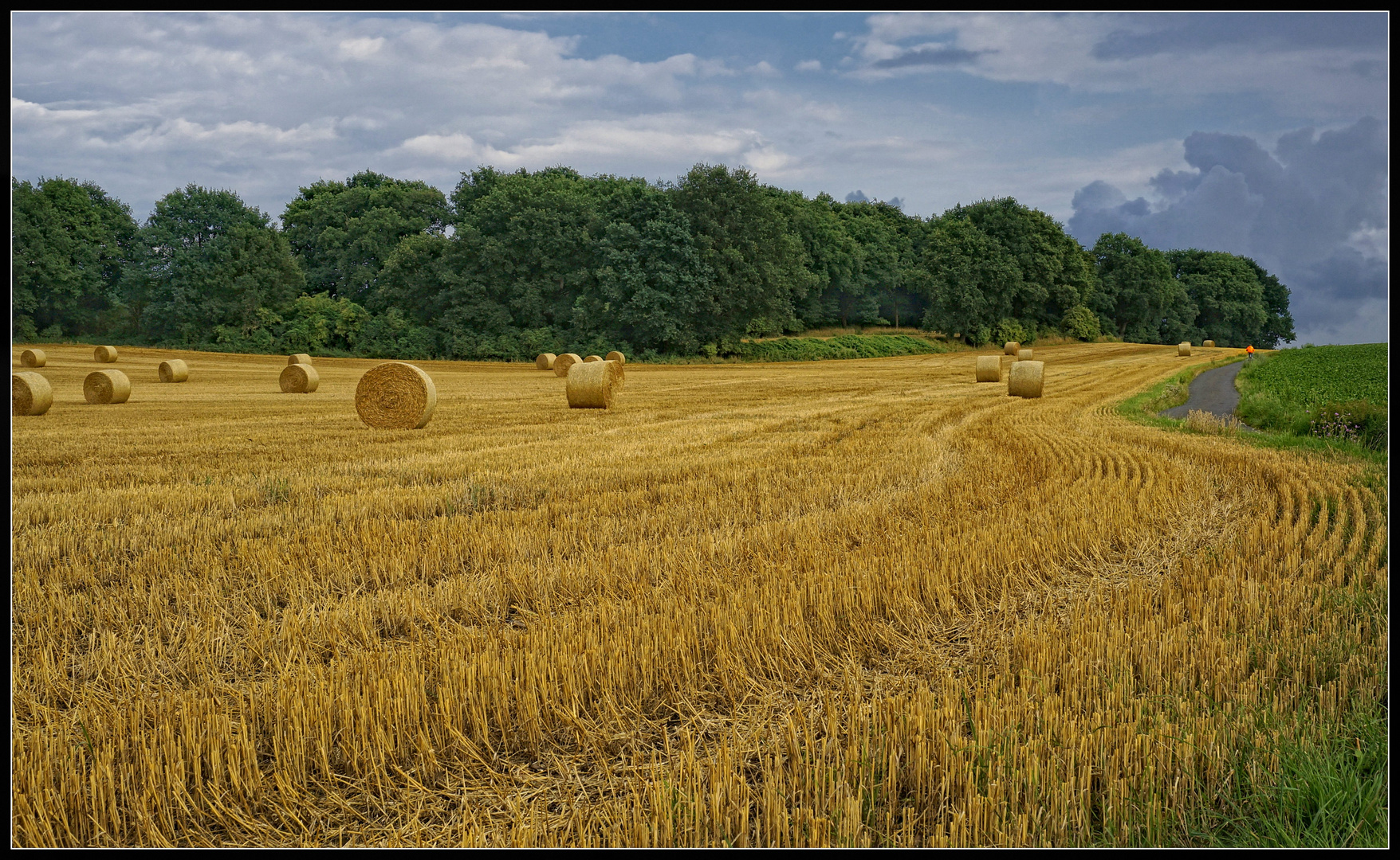 Ernte 2017 Foto & Bild | sommer, natur, landschaft Bilder auf fotocommunity