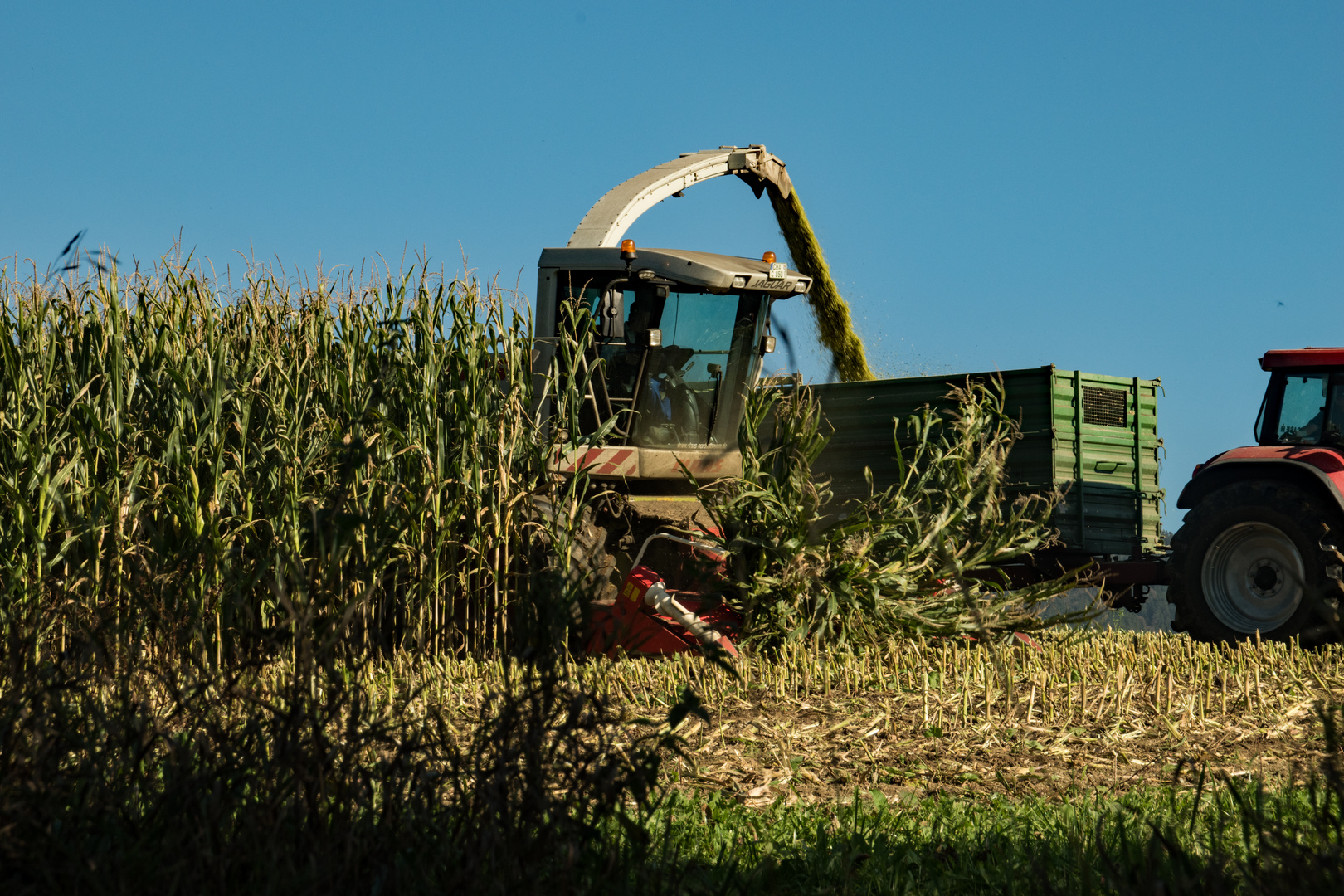 Ernte 2017 Foto & Bild | sommer, feld, natur Bilder auf fotocommunity