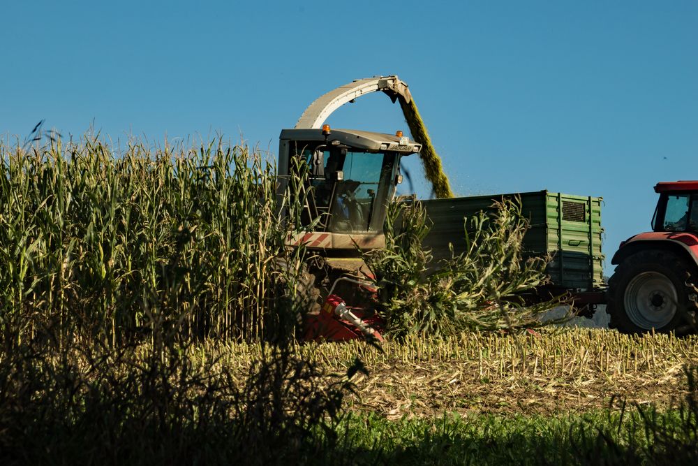 Ernte 2017 Foto & Bild | sommer, feld, natur Bilder auf fotocommunity