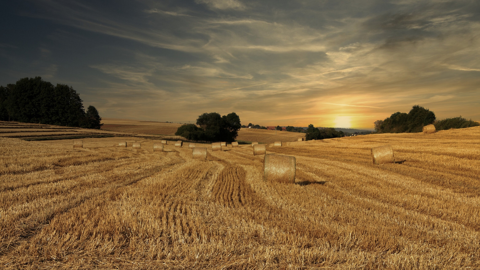 Ernte 2020 Foto & Bild | world, outdoor, landschaft Bilder auf ...