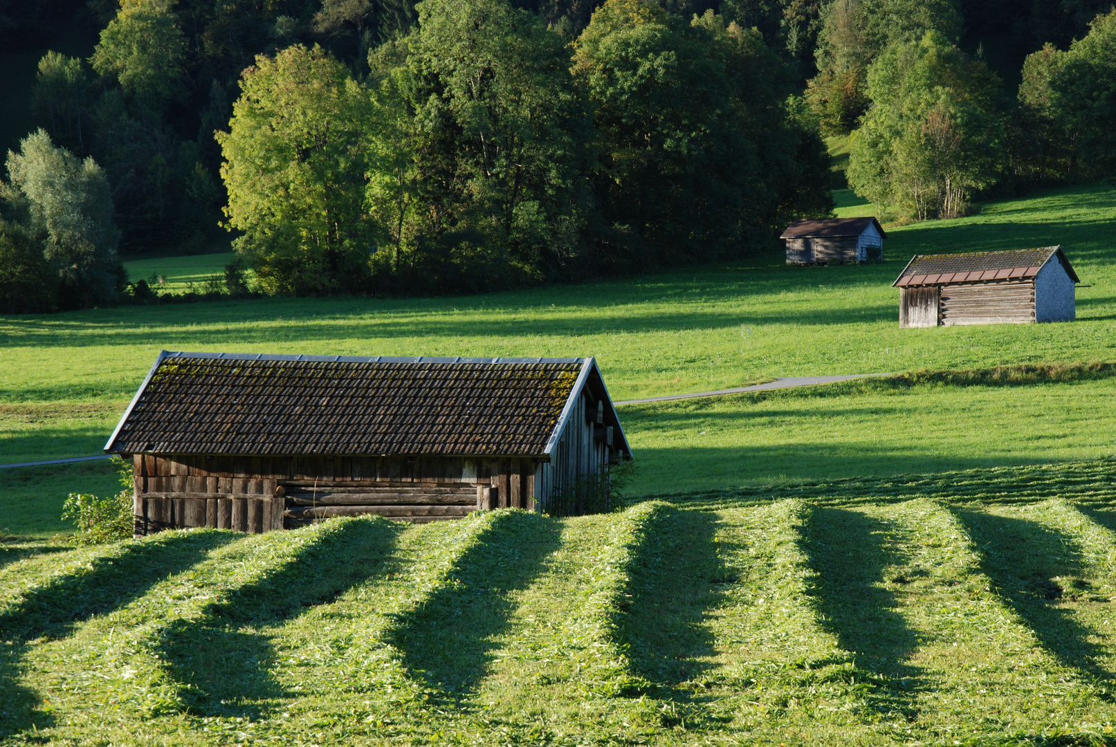 Ernte Foto & Bild | jahreszeiten, sommer, natur Bilder auf fotocommunity