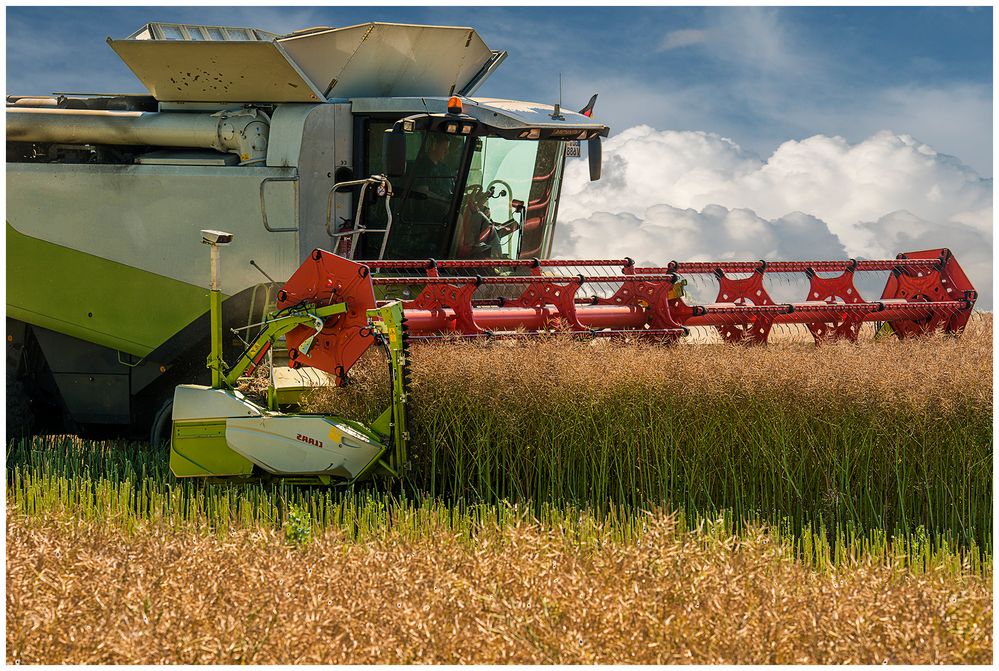 Ernte Foto & Bild | industrie und technik, landwirtschaftliche technik ...