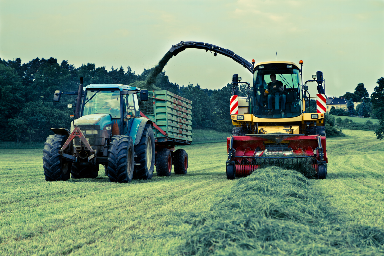 Ernte Foto & Bild | landschaft, Äcker, felder & wiesen, natur Bilder auf fotocommunity