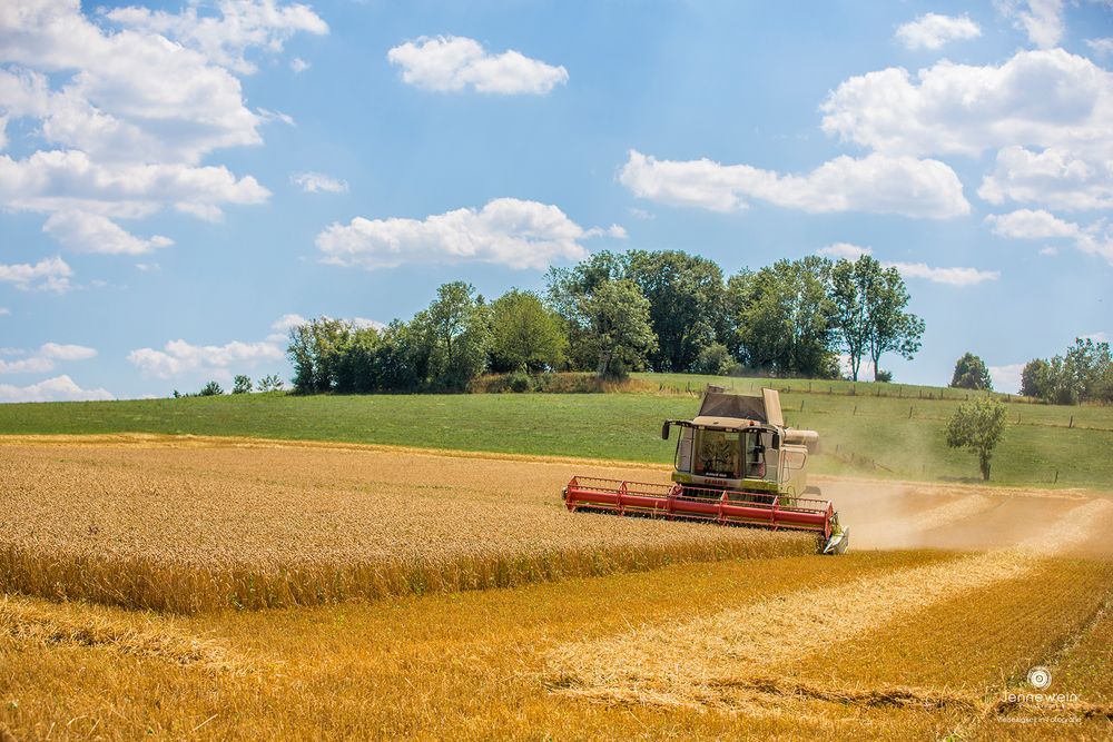 Ernte auf der Alb Foto & Bild | landschaft, jahreszeiten ...