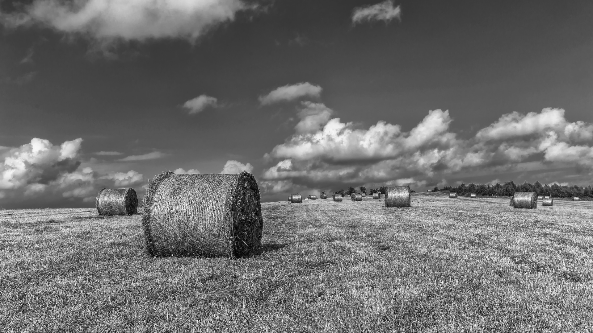 Ernte Foto & Bild | sonne, wolken, s-w Bilder auf fotocommunity