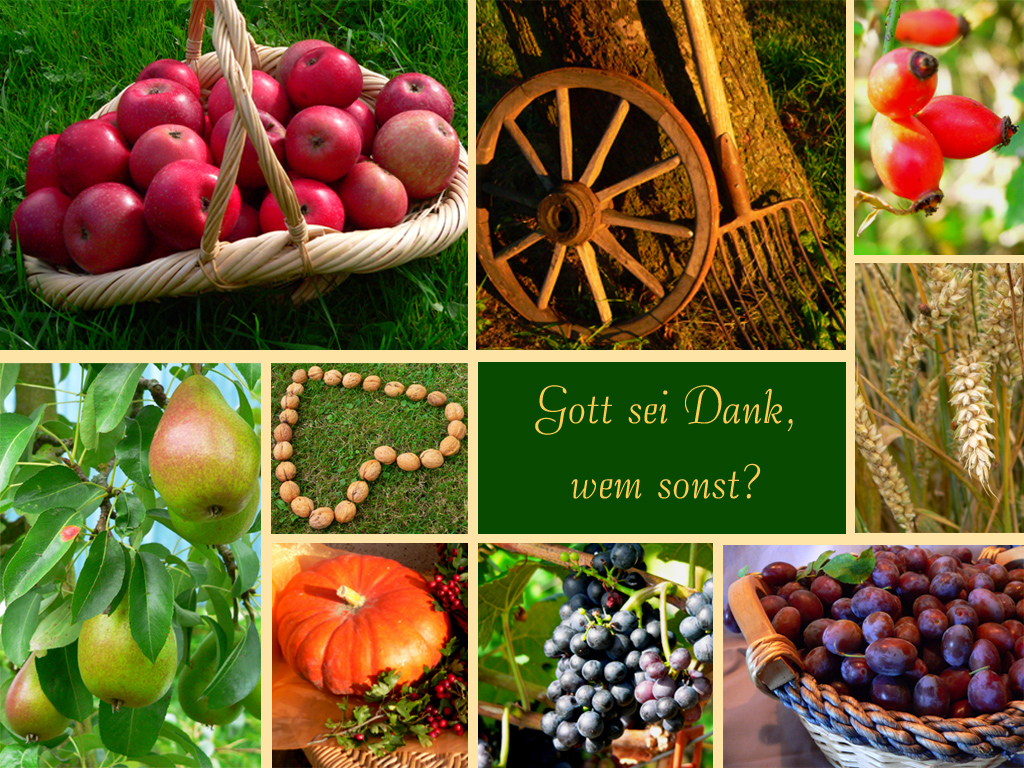 Erntedank Foto & Bild | jahreszeiten, herbst, natur Bilder auf ...