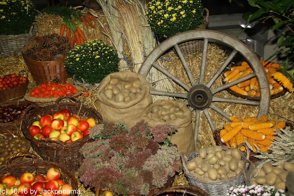 Erntedank 2016 Foto & Bild | sakral, natur, erntedank Bilder auf ...