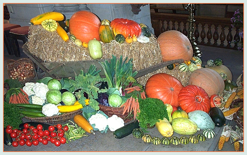 Erntedank Foto & Bild | pflanzen, pilze & flechten, getreide und ...