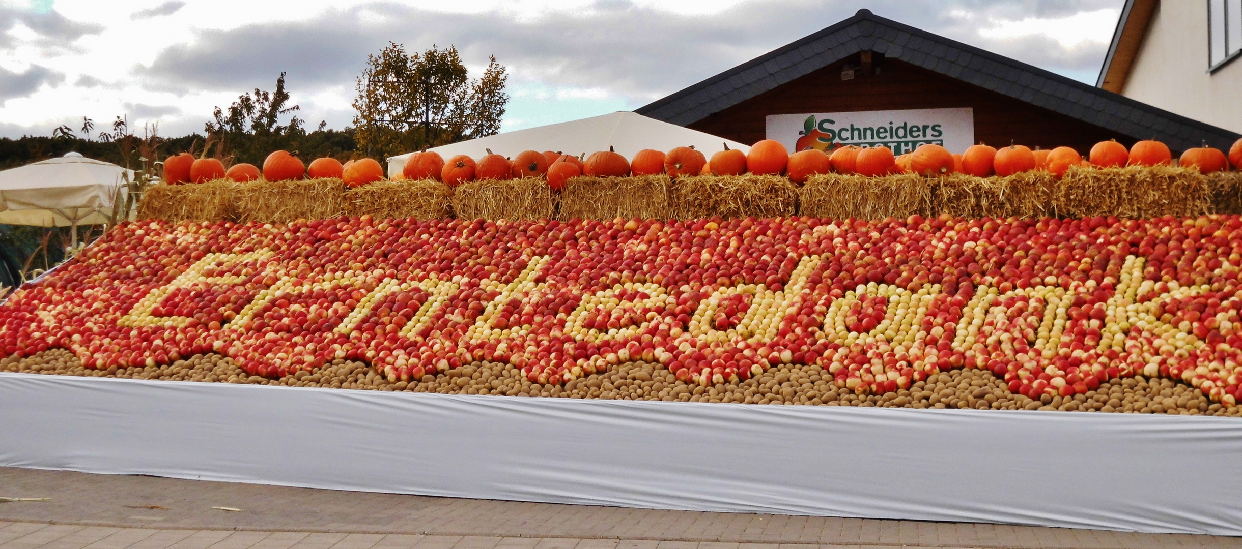 Erntedank Foto & Bild | stillleben, food-fotografie, obst & gemüse ...