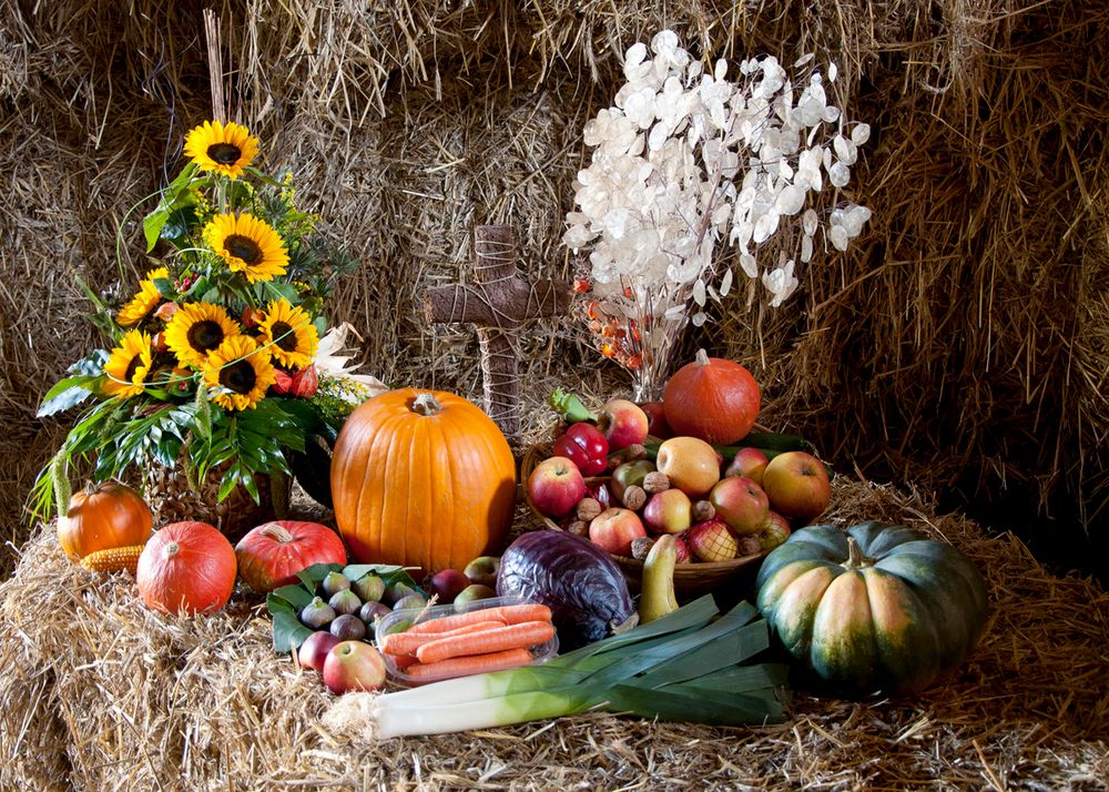 Erntedank Foto & Bild | stillleben, food-fotografie, getreide ...