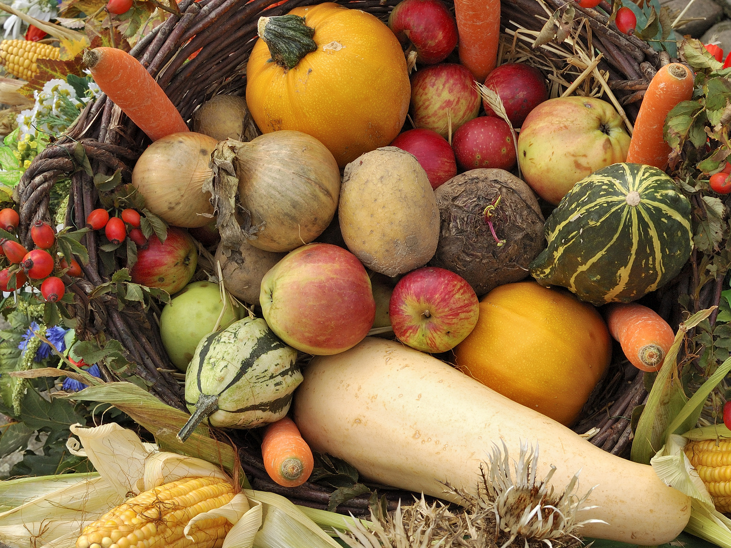 Erntedank Foto & Bild | pflanzen, pilze & flechten, jahreszeiten ...