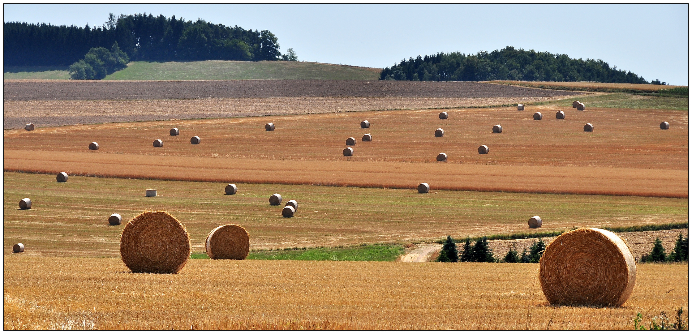 Erntezeit Foto & Bild | landschaft, Äcker, felder & wiesen, natur ...