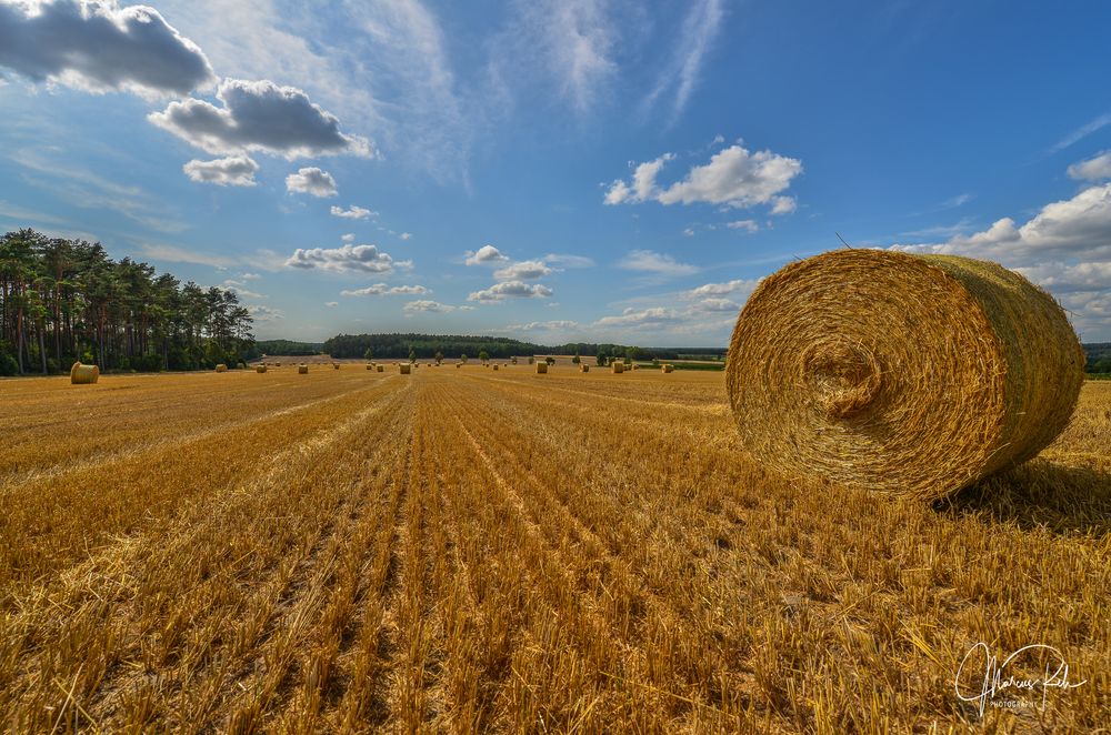 Erntezeit ... Foto & Bild | landschaft, kulturlandschaften, nature Bilder auf fotocommunity