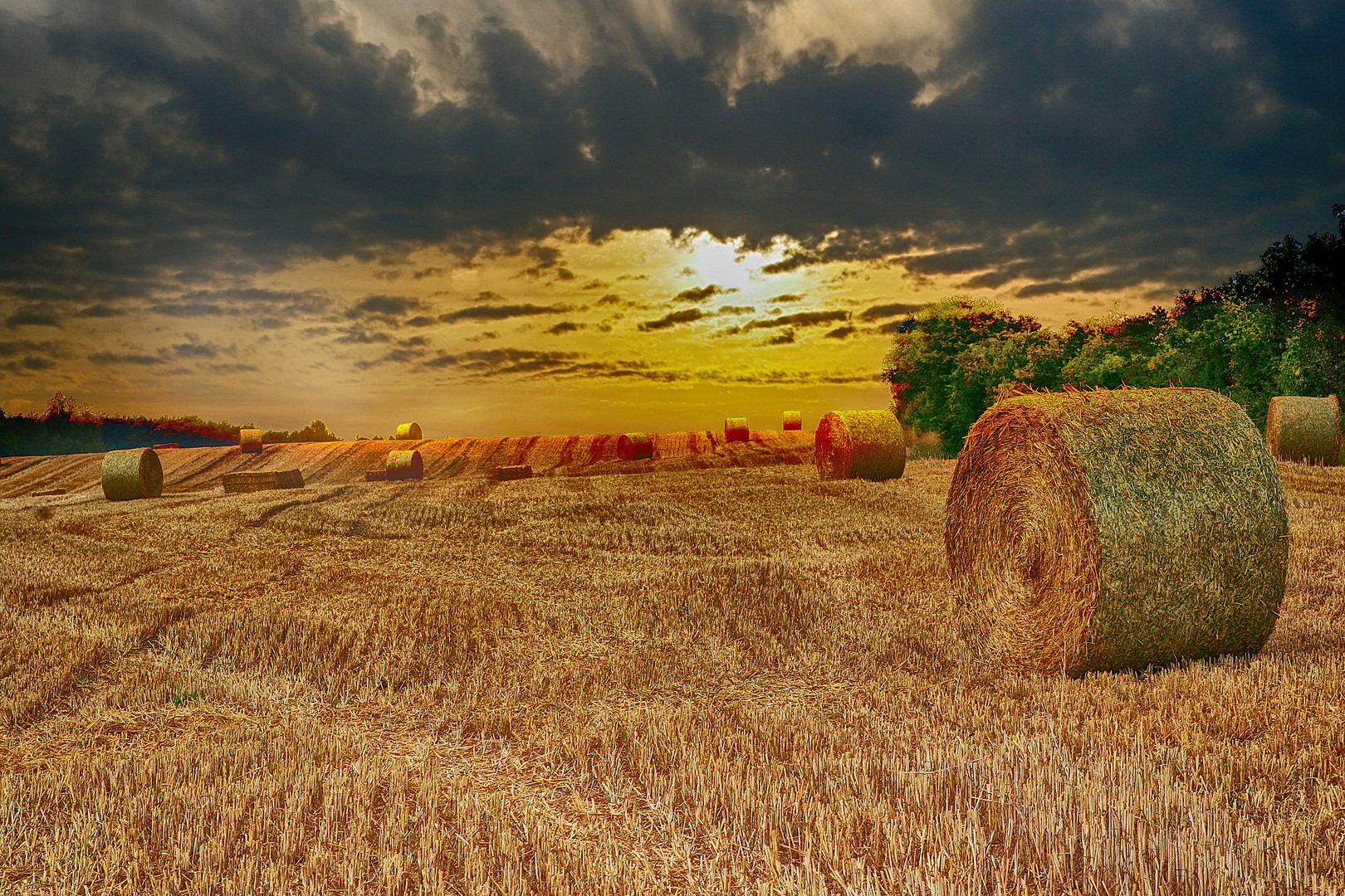 Erntezeit Foto & Bild | landschaft, Äcker, felder & wiesen, natur ...