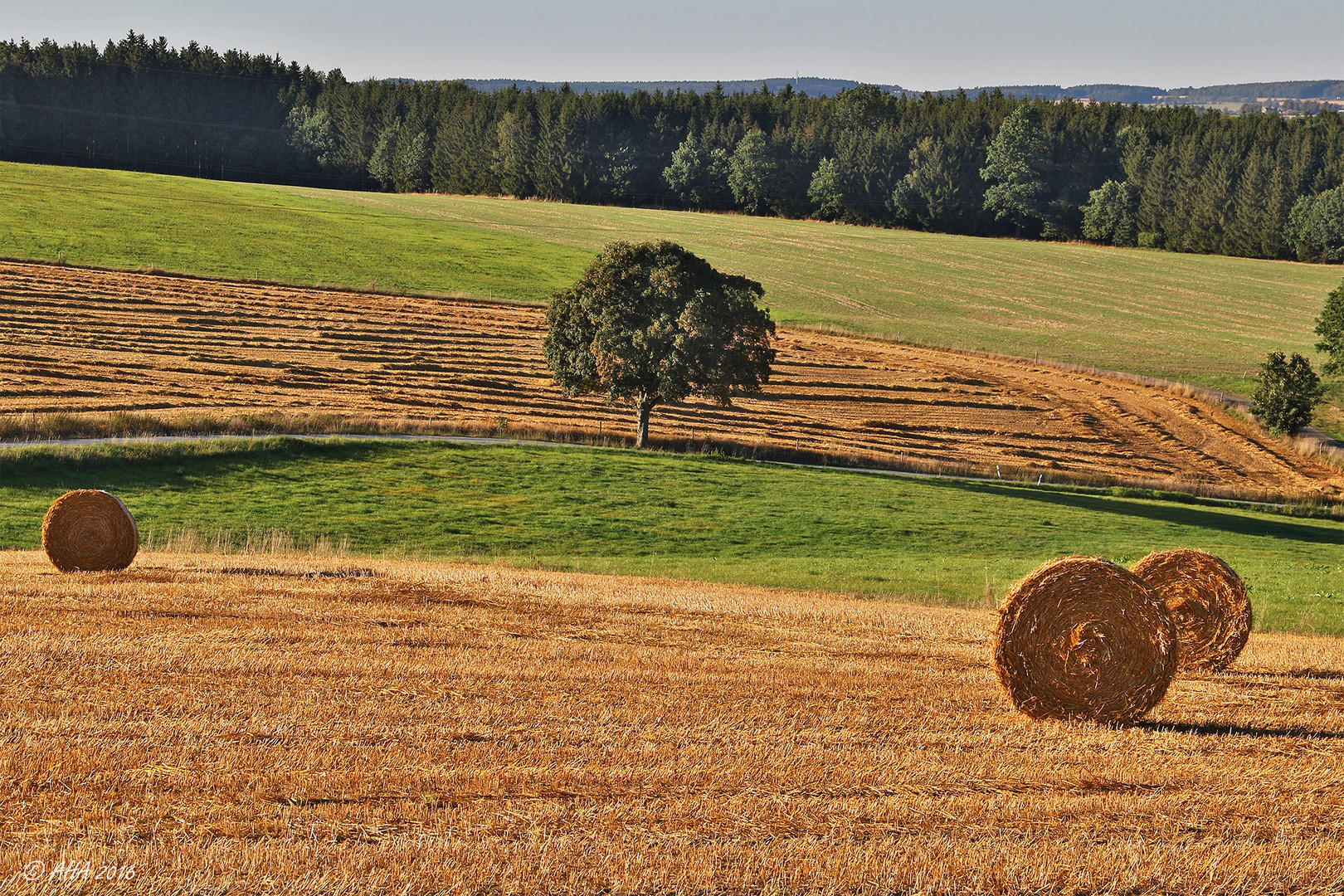 Erntezeit Foto & Bild | landschaft, natur, ernte Bilder auf fotocommunity