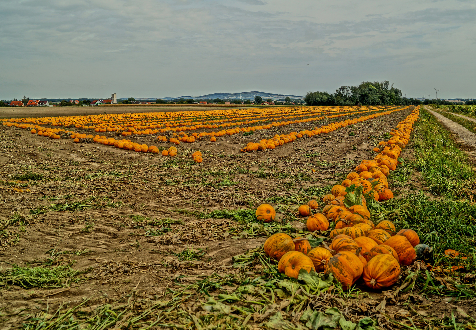 Erntezeit.... Foto & Bild | landschaft, Äcker, felder & wiesen, natur ...