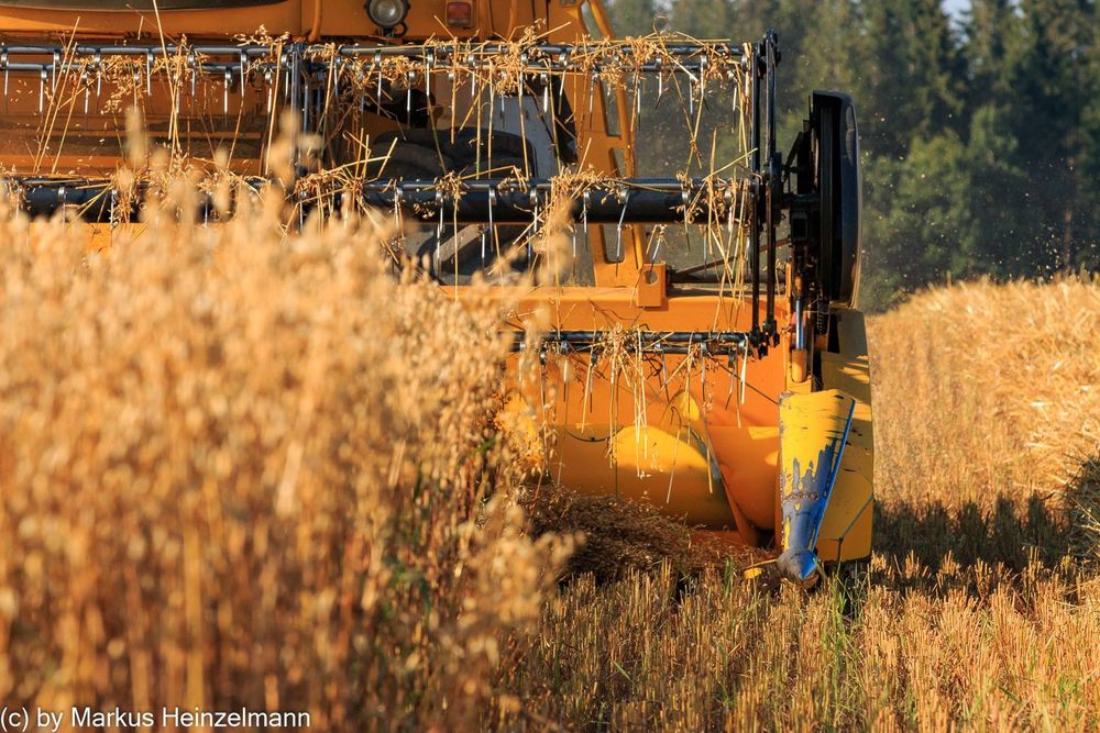 Erntezeit Foto & Bild | jahreszeiten, natur, ernte Bilder auf fotocommunity