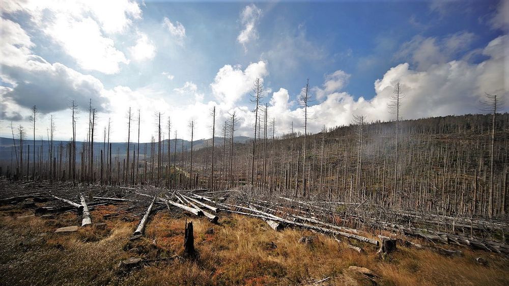 Erschreckend Foto & Bild | world, natur, landschaft Bilder auf ...