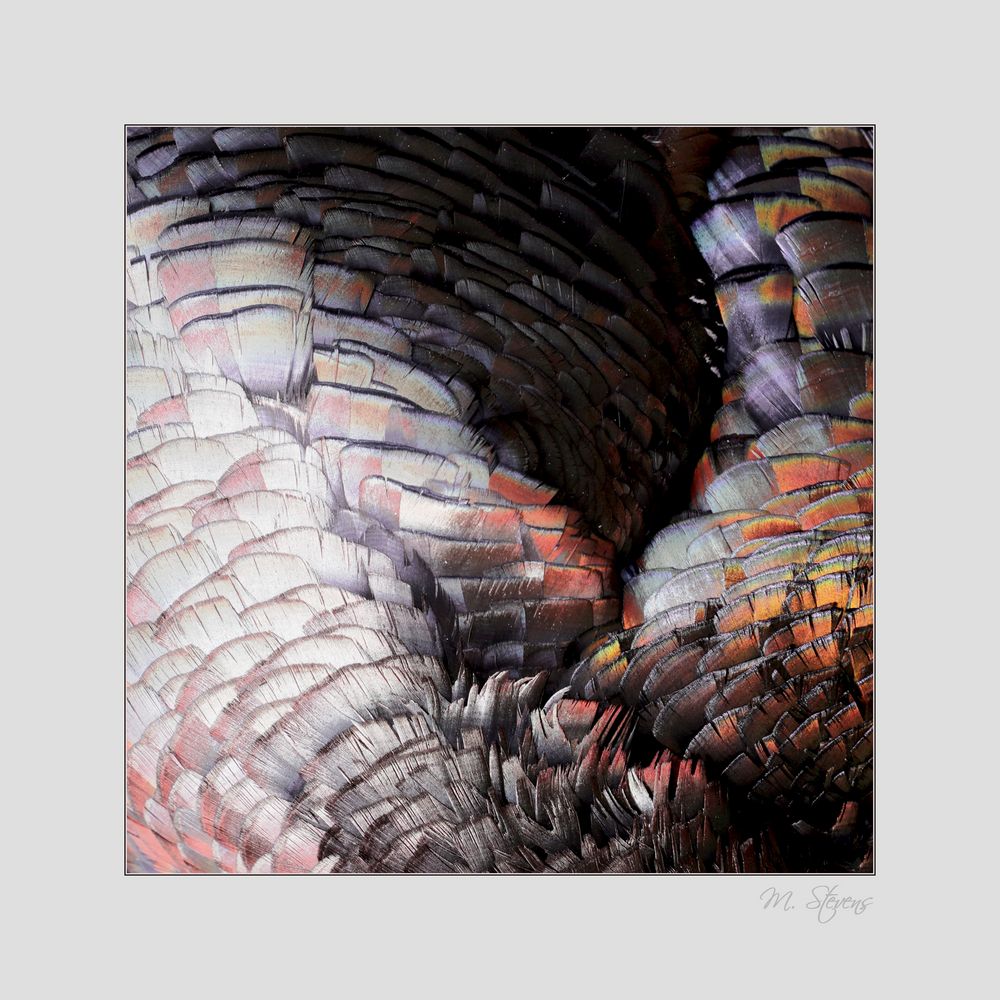 Erstaunlich Foto & Bild | spezial, natur, abstrakt Bilder auf fotocommunity