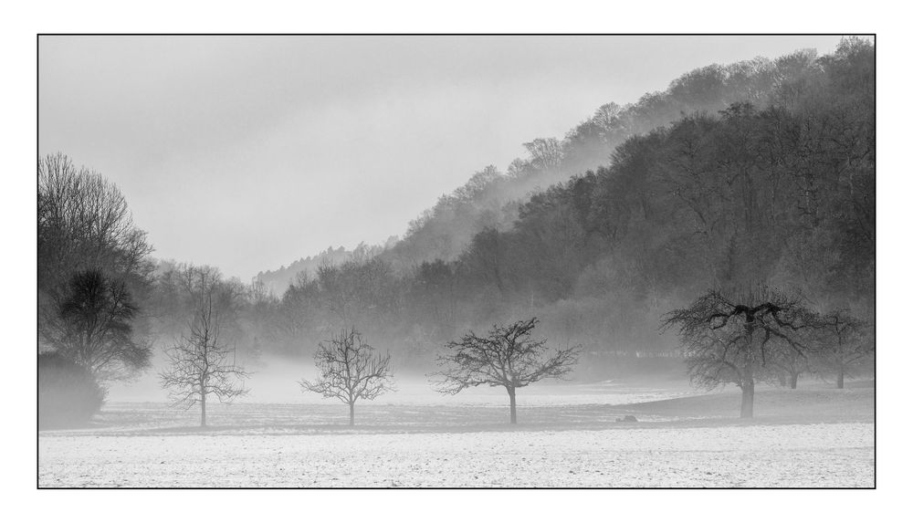 erste Reihe Foto & Bild | landschaft, schönbuch, wald Bilder auf ...