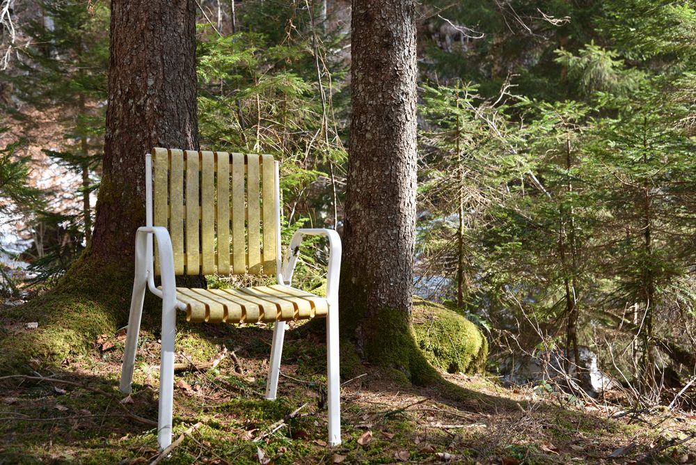 Erste Reihe fußfrei Foto & Bild | landschaft, wald, Ästhetik der ...