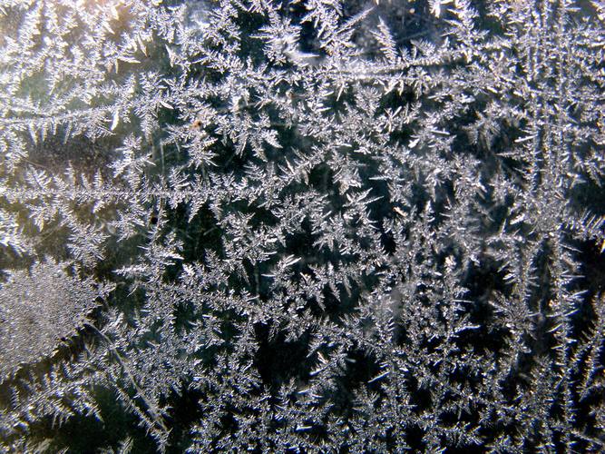 "Erster Frost" - Bild & Foto von Martin Beutler aus 12/04 Voting 1 ...