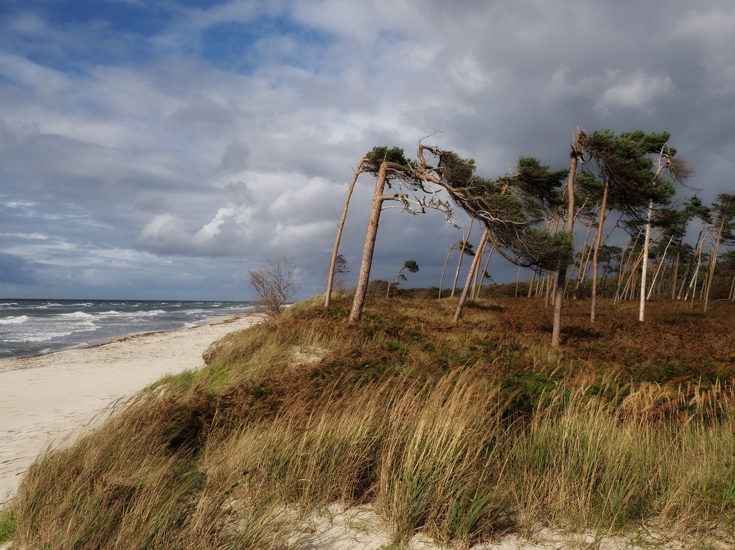 erster Herbststurm Foto & Bild | outdoor, wolken, ostsee Bilder auf ...