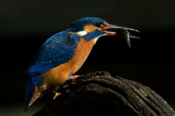 Martin Wohlgemuth - Fotos & Bilder - Fotograf aus Sprockhövel ...