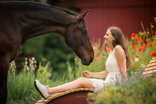 TOMsPiC - Fotos & Bilder - Fotograf aus Böblingen, Deutschland ...