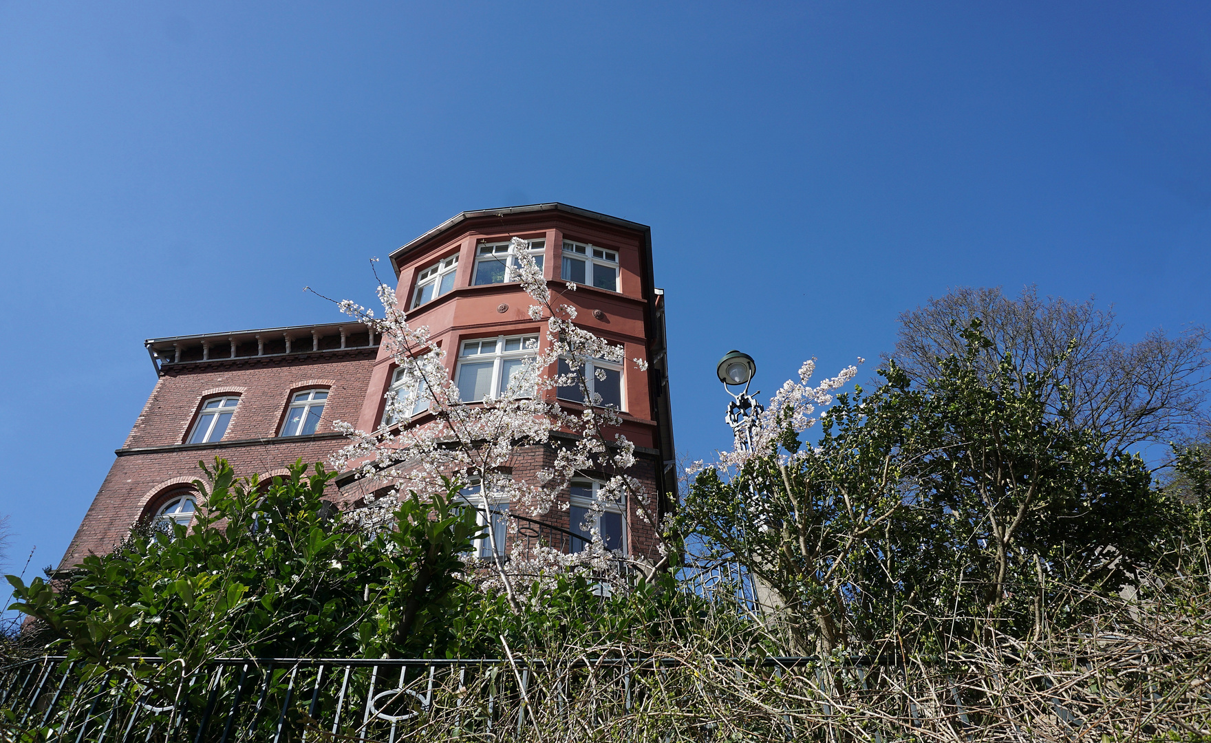 Es blüht auch bei Lenchen, Foto & Bild | frühling, natur, treppen ...