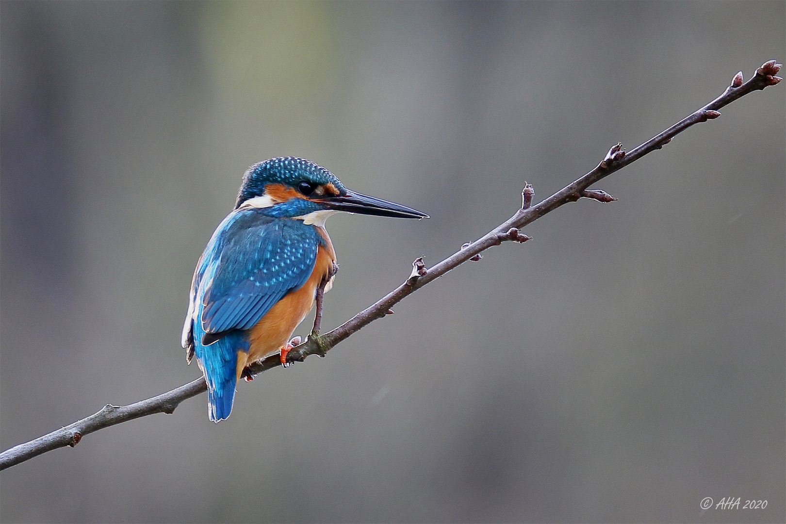 Es geht ihm gut! Foto & Bild | natur, tiere, vögel Bilder auf fotocommunity Es geht ihm gut! Foto & Bild | natur, tiere, vögel Bilder auf fotocommunity
