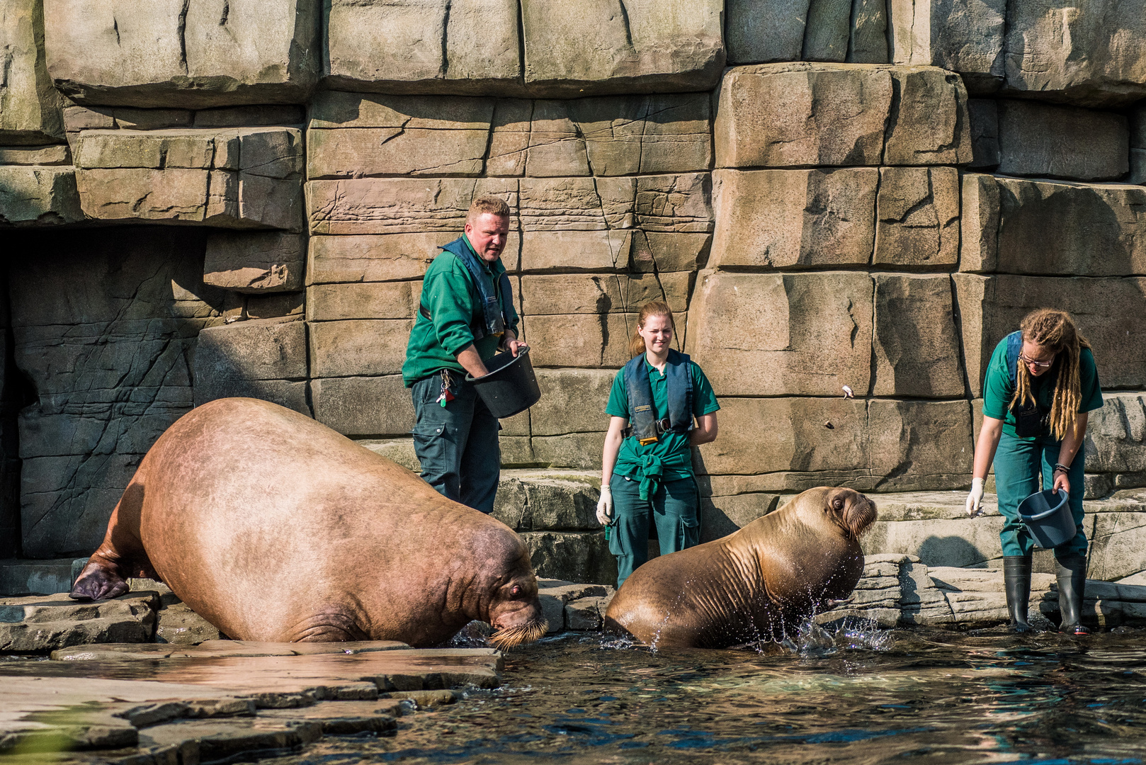 es gibt Essen Foto & Bild | tiere, zoo, wildpark & falknerei ...