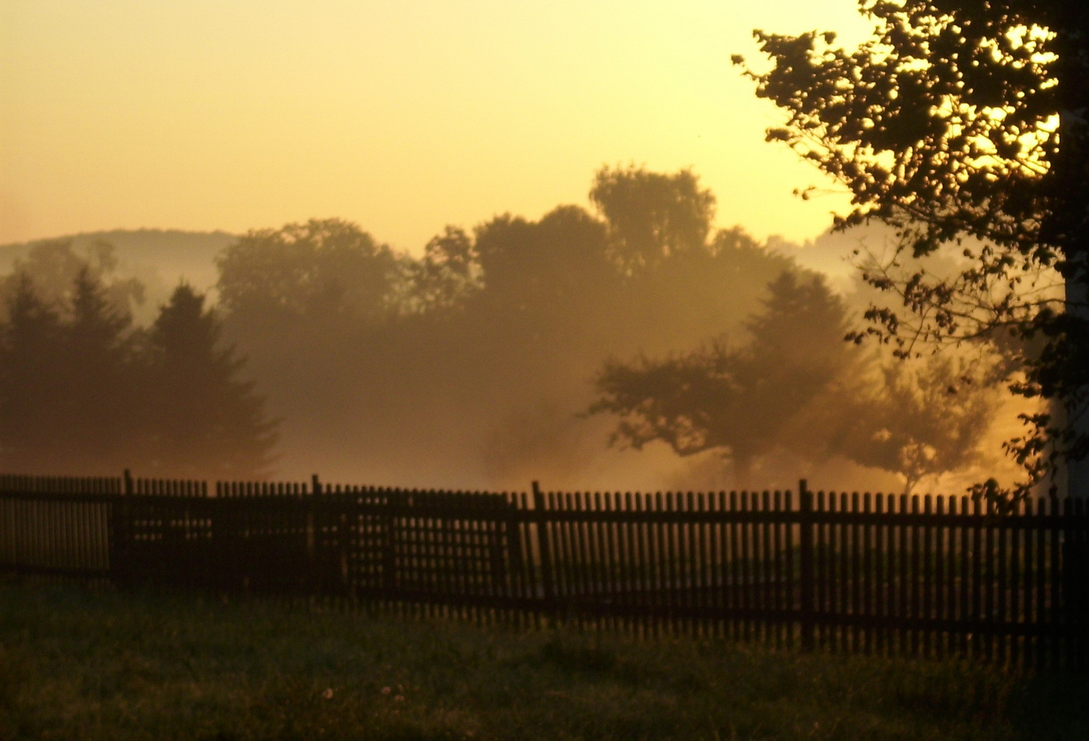Es grüßt der Morgen Foto & Bild | sonnenaufgang, morgenstimmung, himmel ...