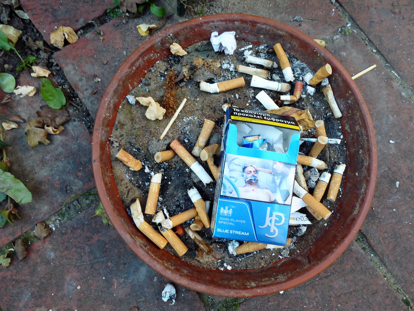 Es ist erwiesen... Foto & Bild | motive /dies und das, spezial ...