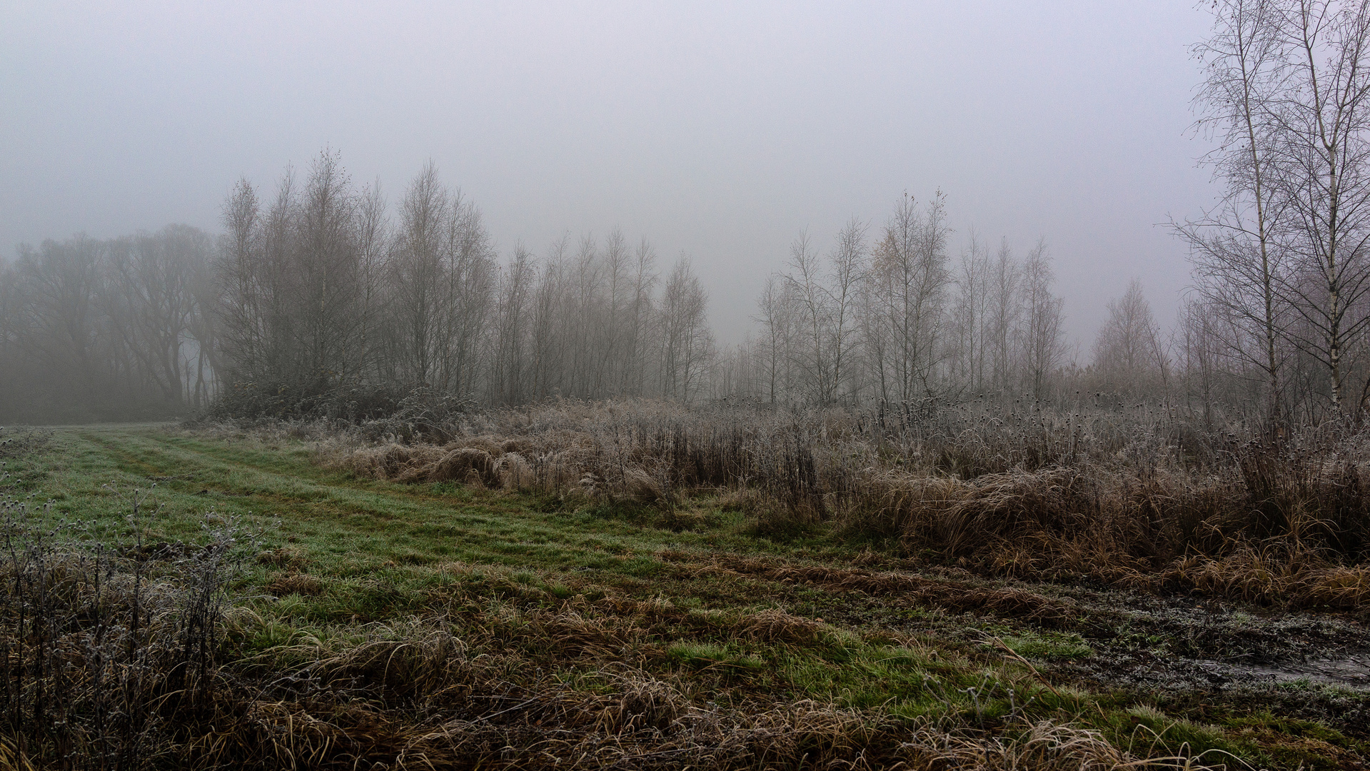 es ist kalt geworden Foto & Bild | jahreszeiten, winter, bäume Bilder ...