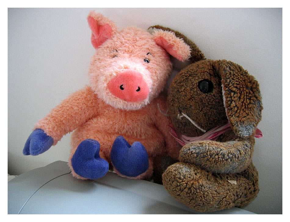 Es ist so soen, ein Swein tsu sein Foto & Bild | kunstfotografie ...