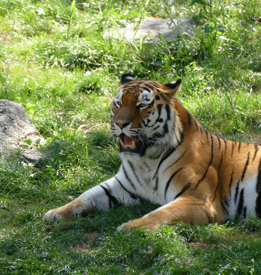 Es ist viel zu warm Foto & Bild | natur, landschaft, pflanzen Bilder ...