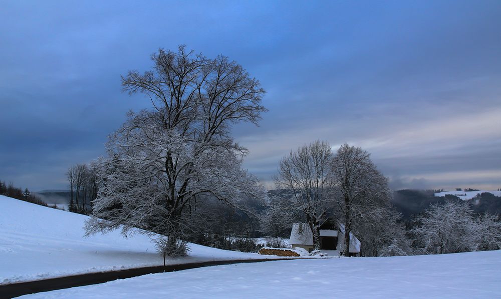 Es ist winterlich geworden Foto & Bild | jahreszeiten, winter, landschaft Bilder auf fotocommunity