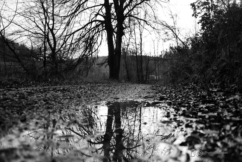 Es regnet - D75_0172 Foto & Bild | sonstiges, projekte, wasser im ...