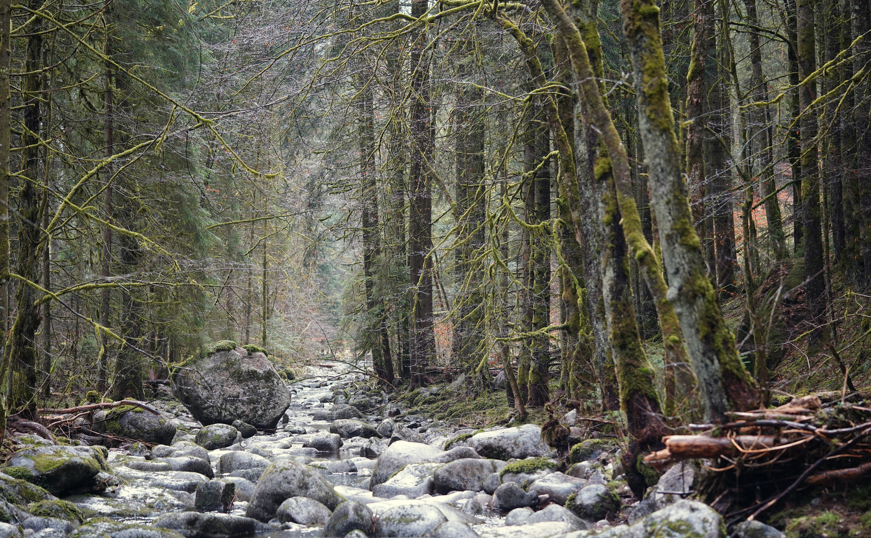 es regnet gerade.. Foto & Bild | world, felsen, deutschland Bilder auf ...