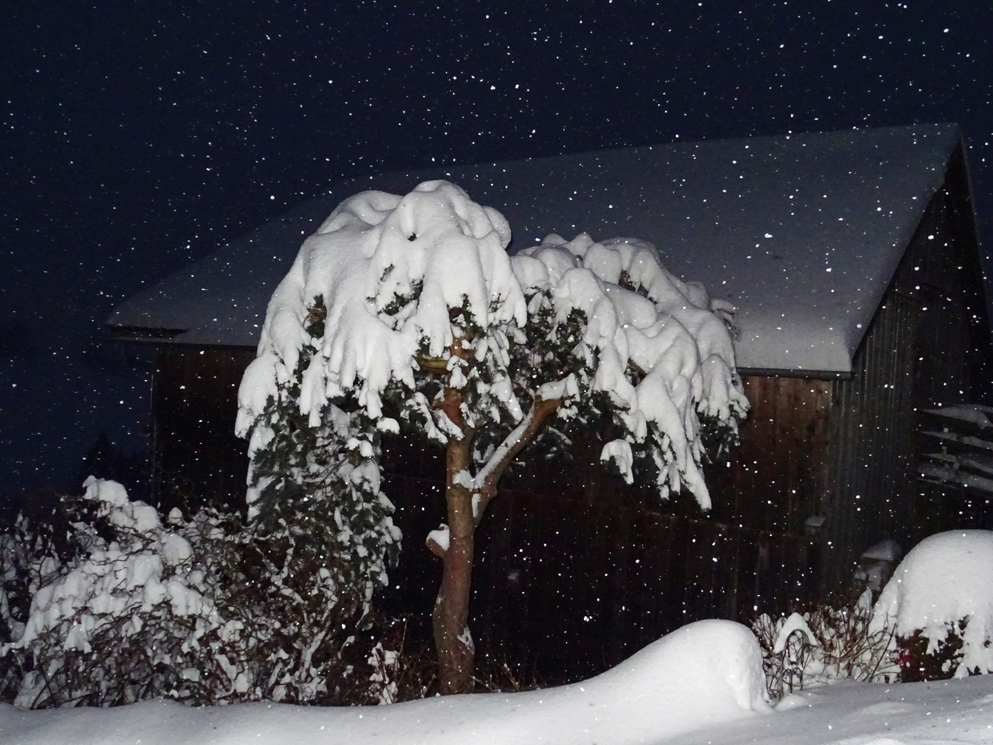 Es Schneit 1 Foto & Bild | fotos, nikon, kalt Bilder auf fotocommunity