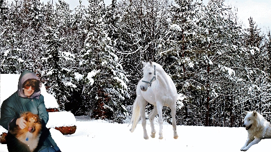 Es schneit, ist ein Gif im Originalen Foto & Bild | winter, schnee ...