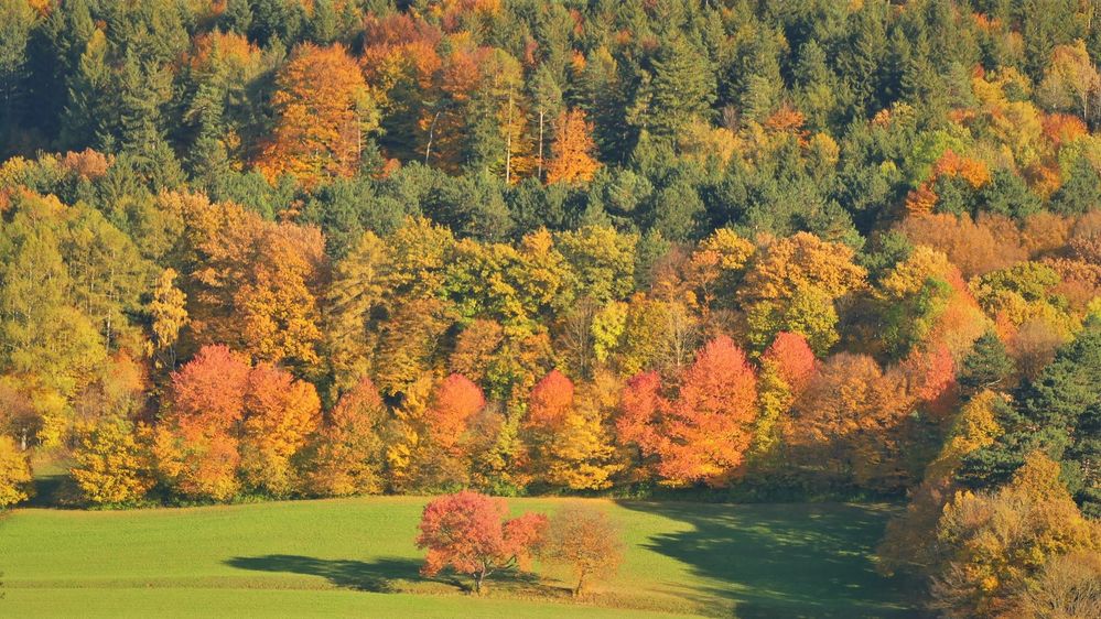 Es war ein schöner Herbst Foto & Bild | landschaft, jahreszeiten, herbst Bilder auf fotocommunity
