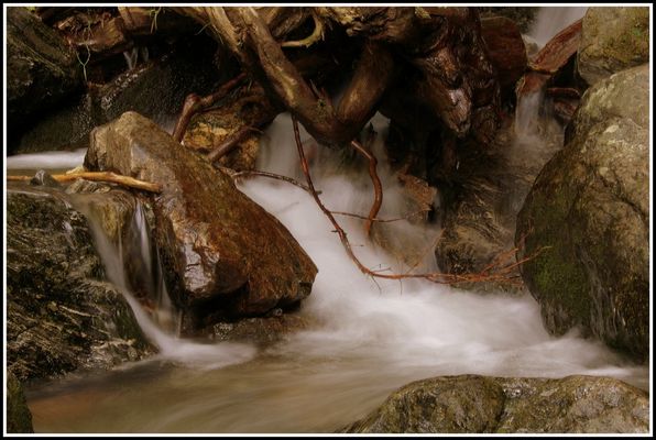 Martin Rudin - Fotos & Bilder - Fotograf aus Riehen, Schweiz ...