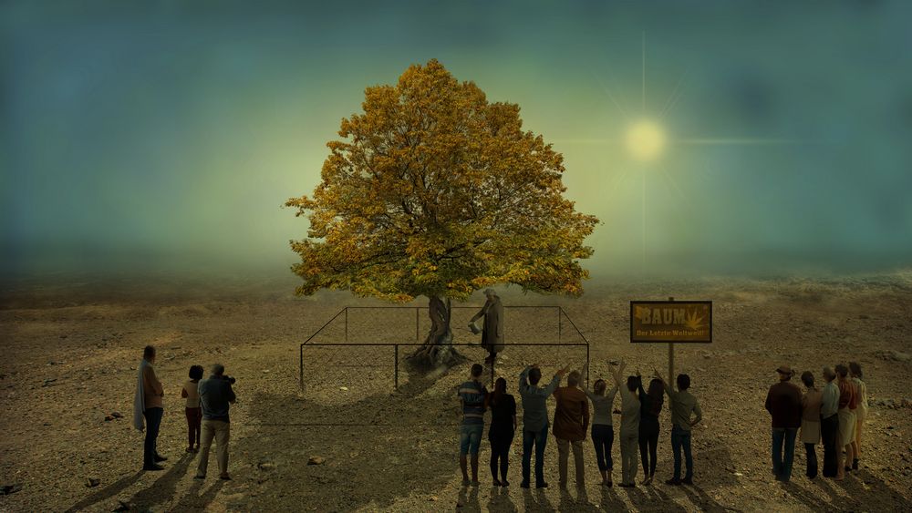 es war einmal Foto & Bild | ki - montagen, bastelei, baum Bilder auf fotocommunity