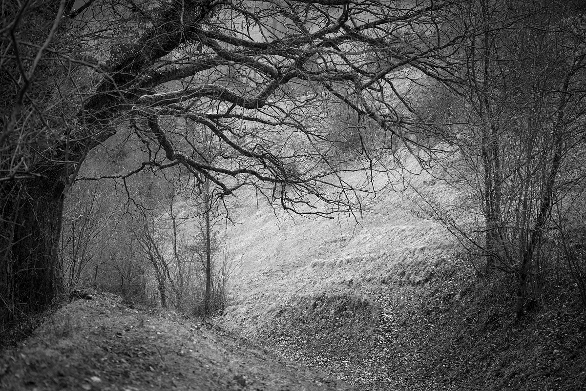 Es weht der Wind Foto & Bild | emotionen, melancholie, spezial Bilder ...