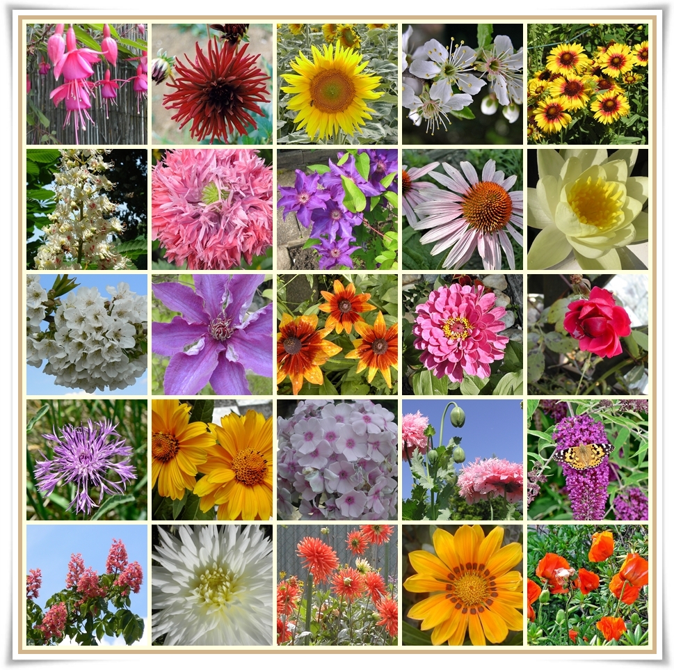 ES WIRD FRÜHLING Foto & Bild | jahreszeiten, frühling, collage Bilder auf fotocommunity